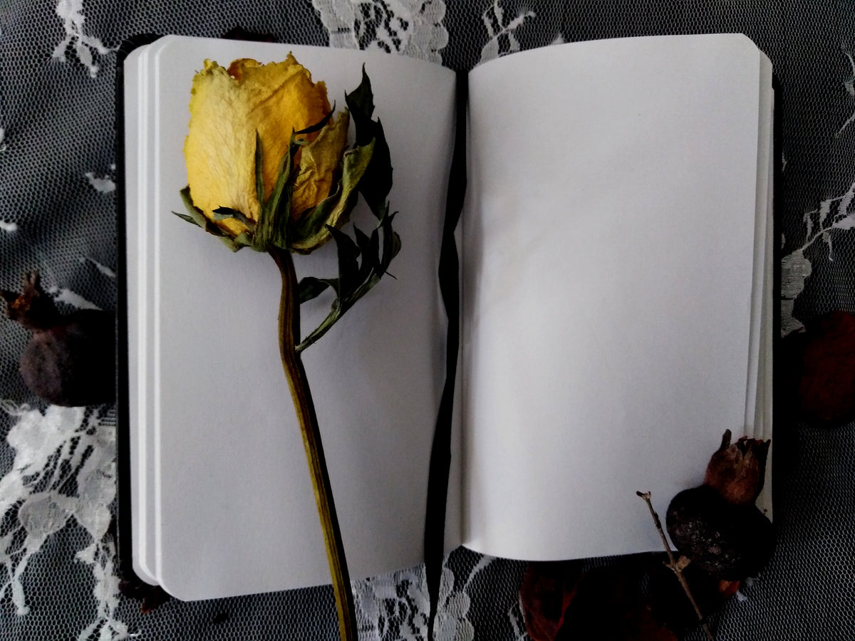 Possessed Notebook Small – Horror Party Dolls